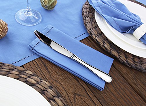 Artaste 59335 Rain 18/10 Stainless Steel Dinner Knife, 9.15-Inch, Set of 12, Silver