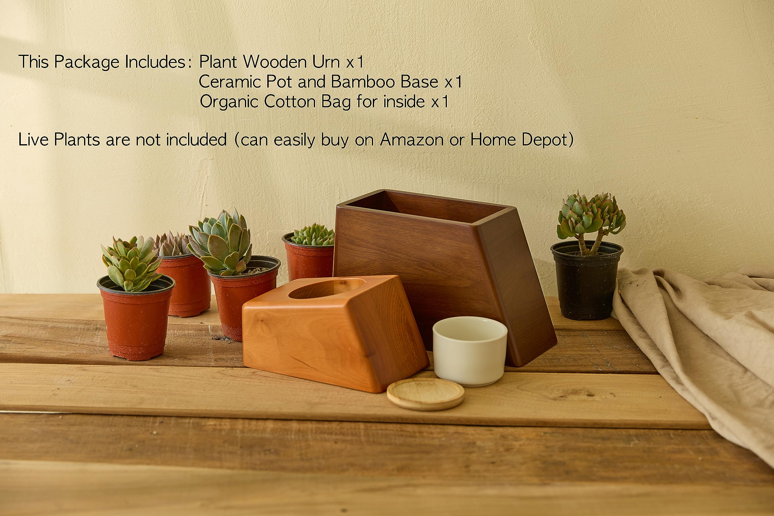 AspenStudio Plant Urn with Ceramic Pot with Magnetic Joint Solid Wooden Urn for Adult Human Ash Cremation Funeral Handcrafted Wood Urn Decorative Urn Large Urn Interior