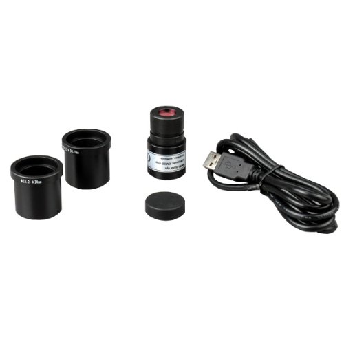 AmScope B100B-E Digital Compound Binocular Microscope, 40X-2000X Magnification, Brightfield, Tungsten Illumination, Abbe Condenser, Plain Stage, Includes 0.3MP Camera and Software
