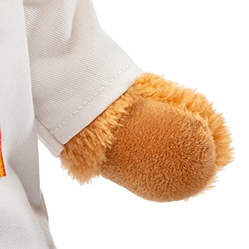 HollyHOME Doctor Bear Stuffed Animal Plush Teddy Bear in Scrubs and White Coat Gifts for Doctors Students and Kids 10 Inch