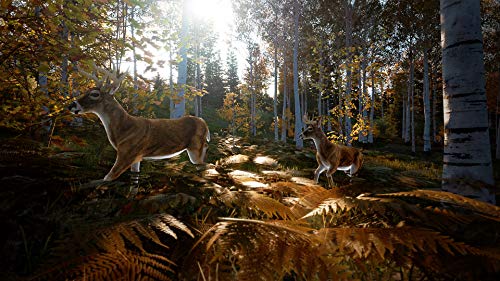 Hunting Simulator 2 - Nintendo Switch (Nintendo Switch)