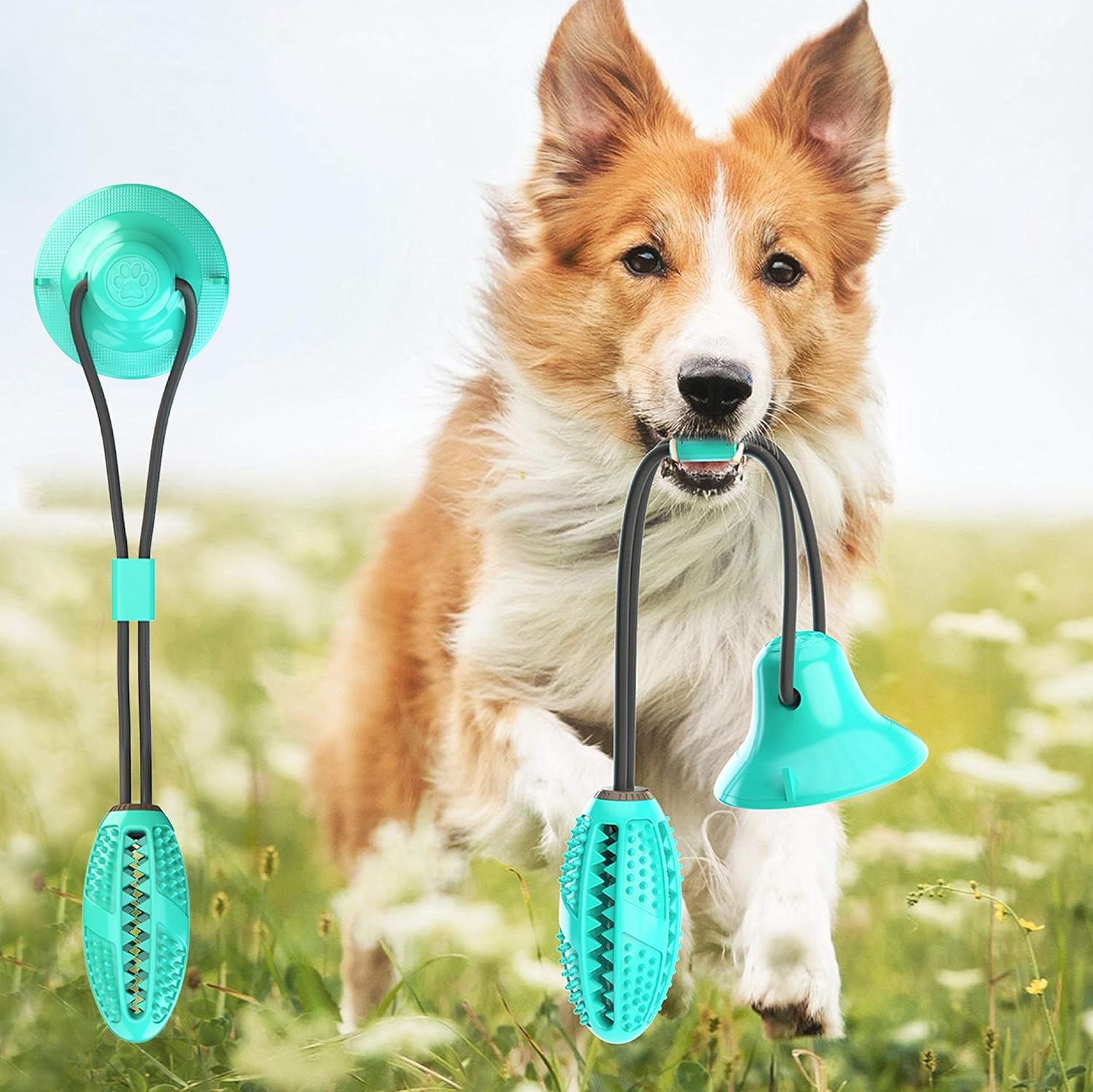 PrimePetPlay Suction Cup Dog Chew Toy - Bite Resistant and Durable - Perfect for Aggressive Chewers - Dental Health and Interactive Play, Sky Blue