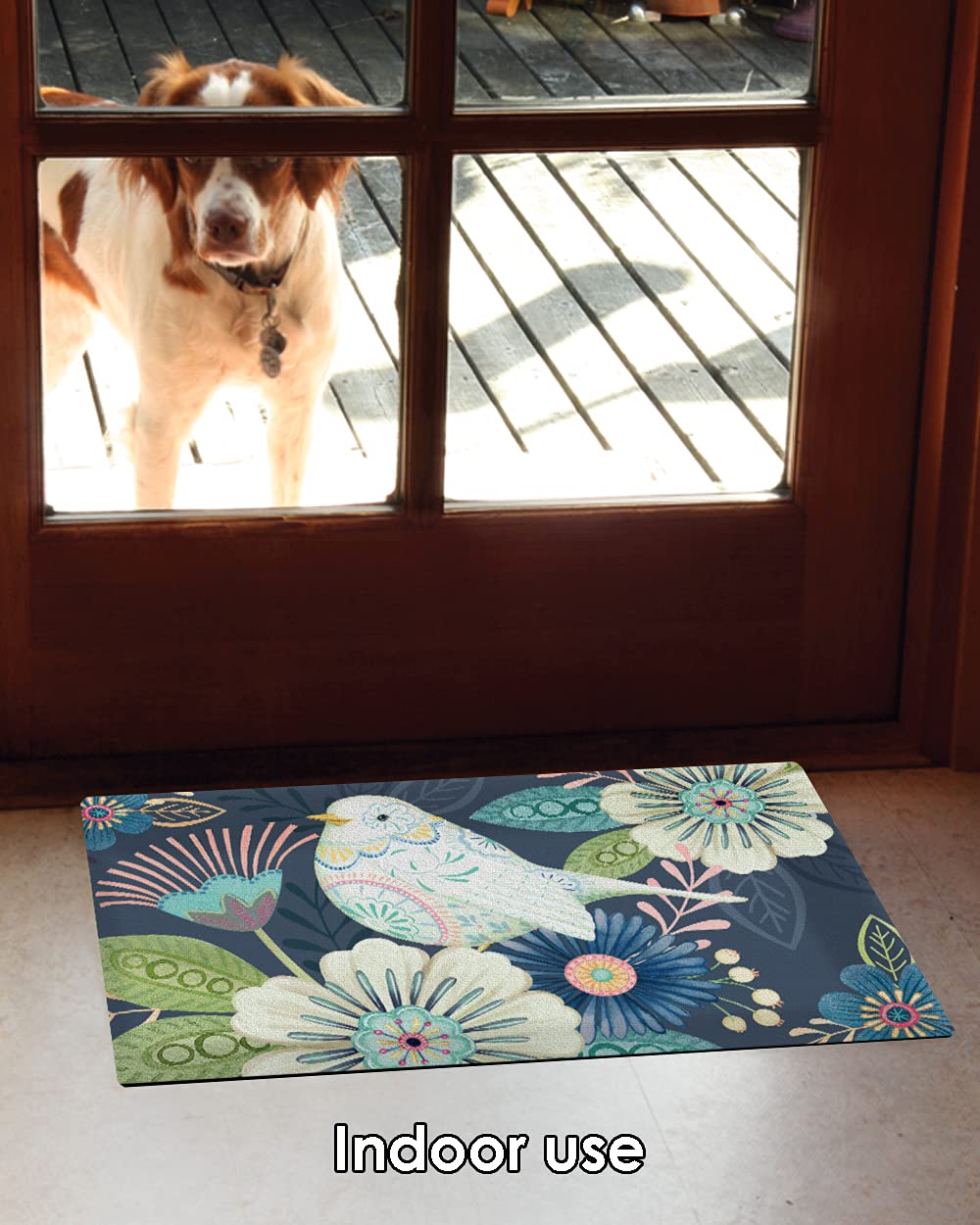 Toland Home Garden 800516 Boho Bird Spring Door Mat 18x30 Inch Bird Outdoor Doormat for Entryway Indoor Entrance