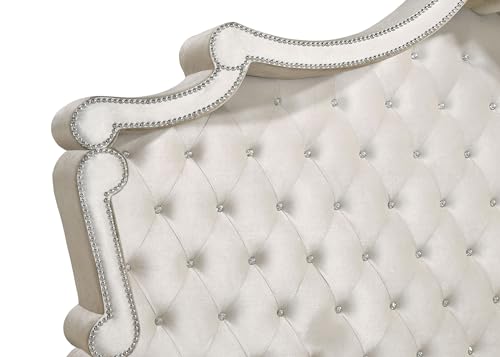 Coaster Home Furnishings Antonella Modern Classic 5-Piece Bedroom Set Velvet Upholstered Eastern King Size Panel Bed Frame 79-inch Headboard Ivory and Camel 223521KE-S5