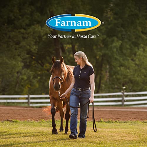 SuperMask II Fly Mask Without Ears for Smaller Horses or Arabian Horses, Full Face Coverage and Eye Protection from Insect Pests, Structured Classic Mesh with Plush Trim, Small Horse/Arabian Size