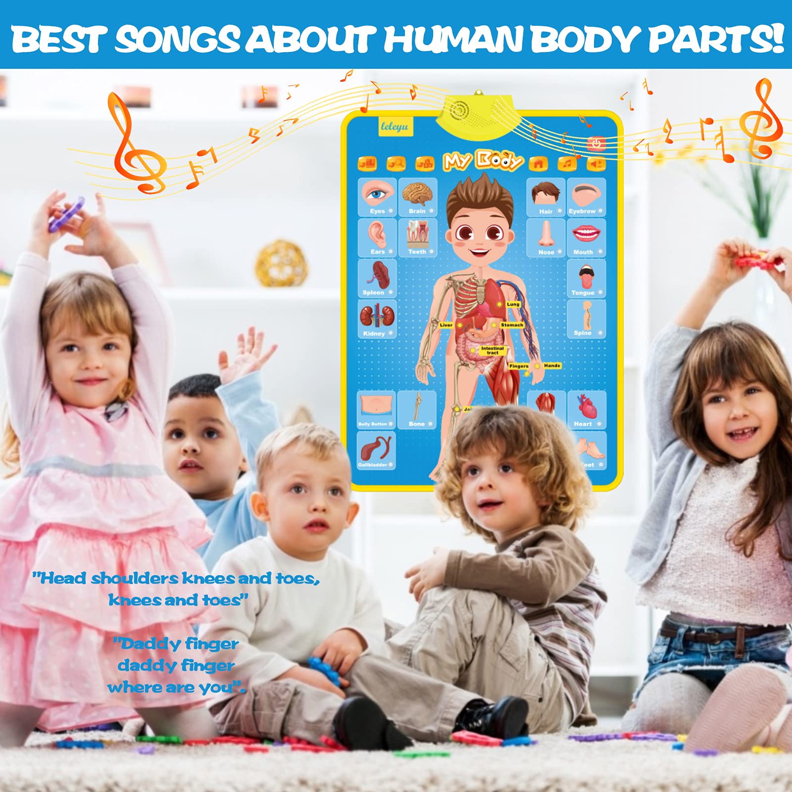 JOYLEARN My Body Interactive Educational Poster for Toddlers and Kids to Learn Body Parts, Organs, Muscles and Bones, 16'' x 22''