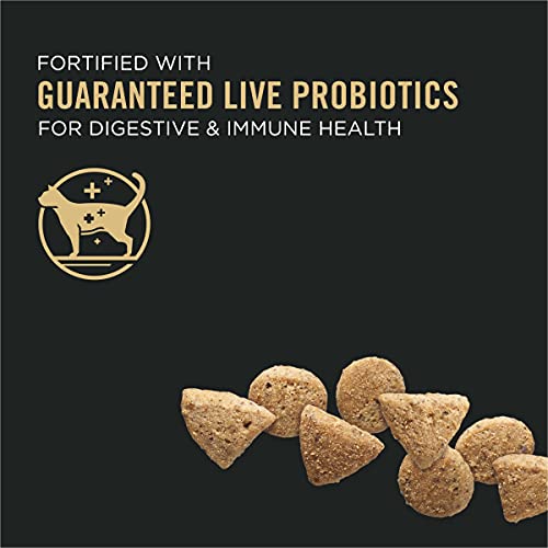 Purina Pro Plan Grain Free, High Protein, Natural Dry Kitten Food, Chicken & Egg Formula - 5.5 lb. Bag