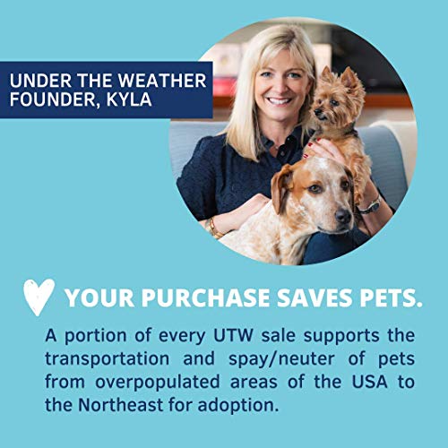 Under the Weather Pet Urinary Tract Support Soft Chews for Cats, 60 Bite Size Soft Chew Cat Supplements | Promotes Normal Ph Balance & Healthy Urinary Function for Cats