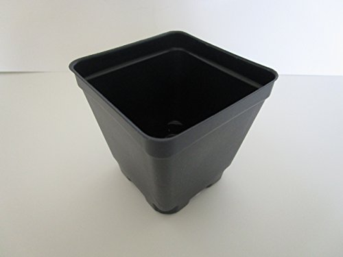 Set of 3 Trays Plus 54 POTS - 3.5" Square pots by Landmark Plastics