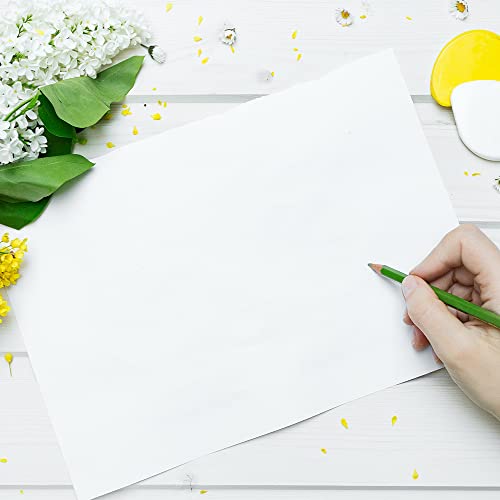 Reskid White Cardstock Thick Paper - 2 x 3.5" Blank Heavy Weight 110 lb Cover Card Stock - 100 Pack (2x3.5, inches)