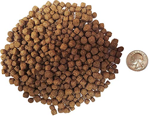 Purina | Aquamax Sportfish MVP Game Fish Feed for Bass, Bluegill, Trout | 50 Pound (50 LB) Bag