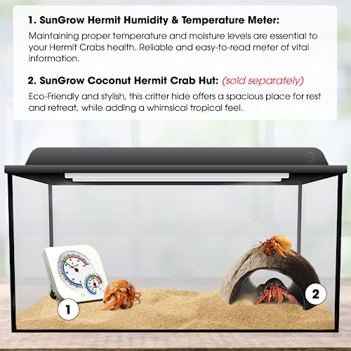 SunGrow Hermit Crab Thermometer & Hygrometer for Terrariums and Reptile, Analog Gauges, Measures in Fahrenheit & Percent, White, 1 Pc per Pack