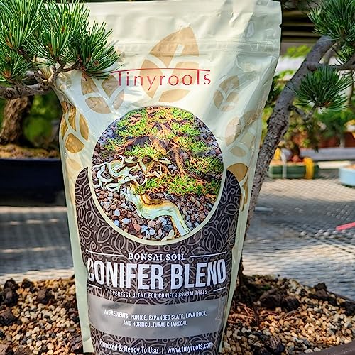 Tinyroots Conifer Bonsai Soil Blend β 2.25 Quarts - Formulated and Pre-Mixed for Junipers, Japanese Black Pines, White Pines, Cedar, Cypress and All Other Conifers