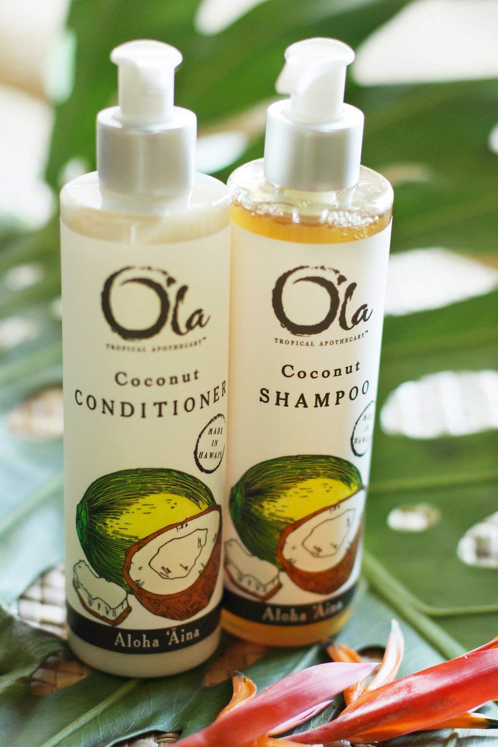 Tropical Apothecary Ola Coconut Organic Shampoo and Conditioner Hair Pair Combo - 8 Fl Oz each