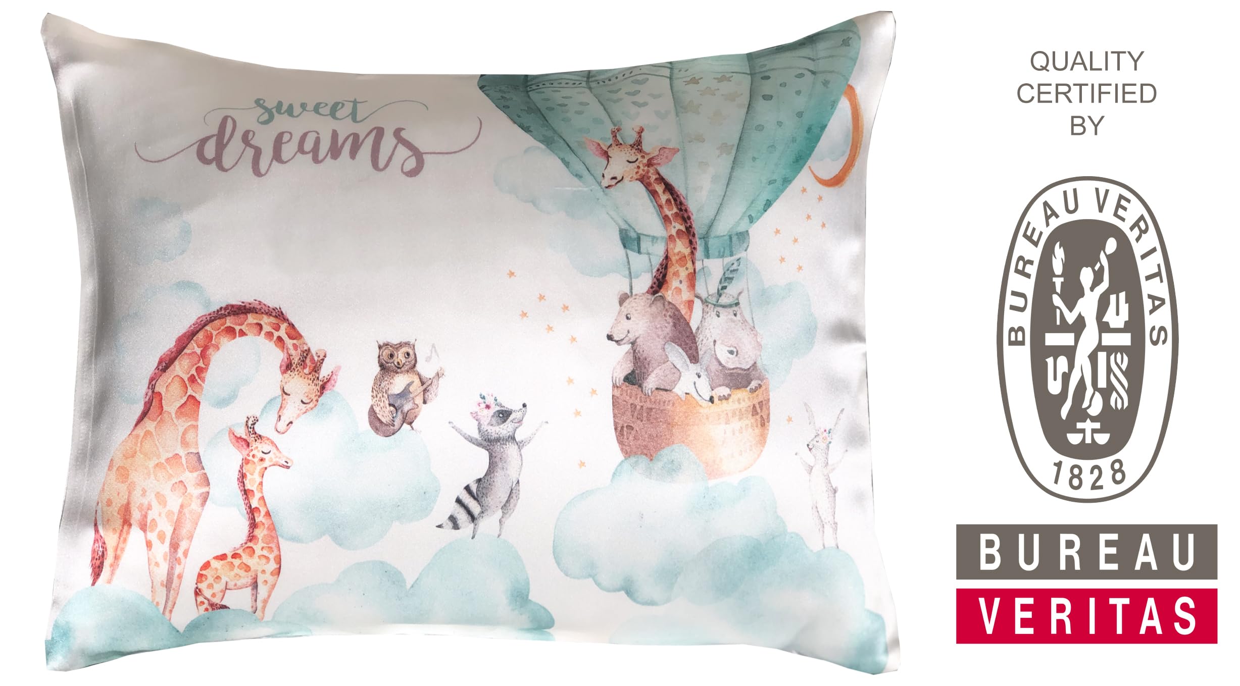 Toddler Pillowcase 100% Silk - Kids Pillow Cover 13x18 (White and Pastels)