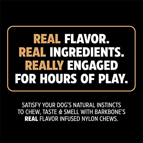 Pet Qwerks Dinosaur BarkBone - Nylon Dog Bone for Aggressive Chewers - Bacon Flavor - 11"