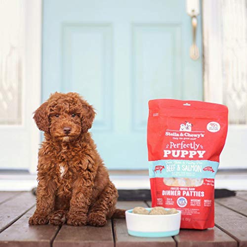 Stella & Chewy’s Freeze Dried Raw Dinner Patties – Crafted for Puppies – Grain Free, Protein Rich Perfectly Puppy Chicken & Salmon Recipe – 14 oz Bag