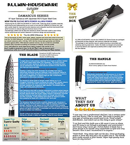 Professional Handmade 8" Damascus Chefs Knife, 67-layer Damascus Chef Knife with VG10 Super Steel Core