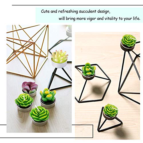 Swpeet 12Pcs Decorative Succulent Cactus Tealight Candles Kit, Cute Smokeless Succulent Plants Perfect for Candles Festival Wedding Props and House-Warming Party (N0.8-Candle)