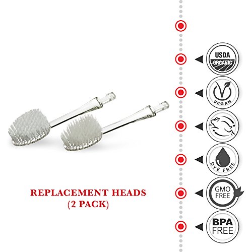 Radius Replacement Heads, Soft, 2 Count (Pack of 3)