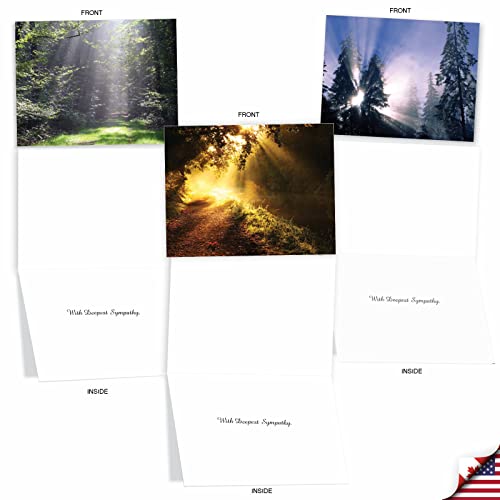 The Best Card Company - 10 Assorted Sympathy Cards Boxed (4 x 5.12 Inch) - Condolence, Bereavement Greetings - Shining Through AM1735SMG-B1x10