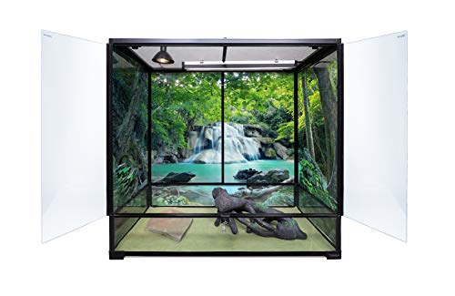 Reptile Habitat Background; Rain Forest with Waterfall, for 36Lx18Wx36H Terrarium, 3-Sided Wraparound