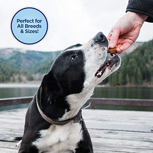 Natural Balance Limited Ingredient Mini-Rewards Chicken Grain-Free, Training Treats for Dogs | 5.3-oz. Canister