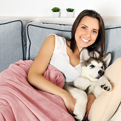 Waterproof Pet Blanket β Reversible Pink Throw Protects Couch, Car, Bed from Spills, Stains, or Fur β Dog and Cat Blankets by Petmaker (50x60)