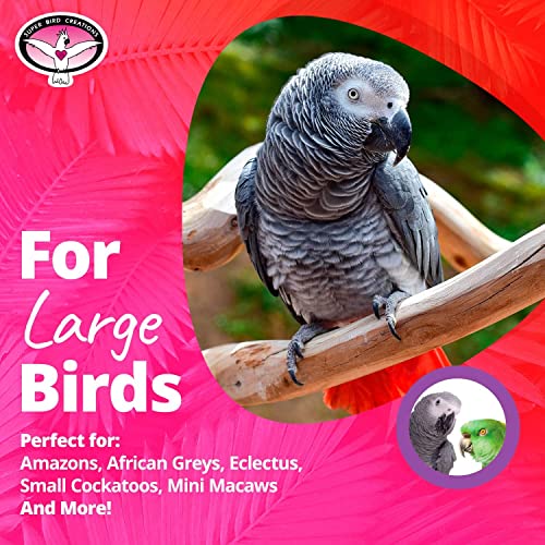 Super Bird Creations SB1107 Bagel Cascade Bird Toy, Large Bird Size, Refillable Bagels, 15β x 4.5β