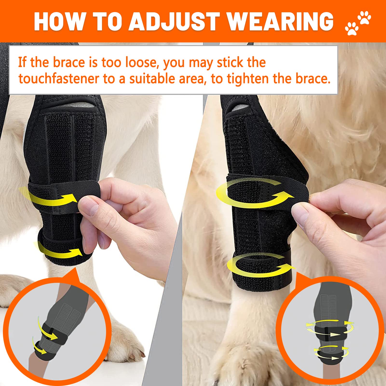 Dog Knee Brace for Torn Acl Hind Leg, Dog Leg Brace with Harness and Connection Belt, Support for Knee Cap Dislocation, Arthritis, Torn ACL Hind Leg (S(Thigh Girth 4.7″-8.9″, Leg Height 2″-6.9″))