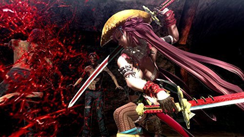 Onechanbara Z2 Chaos