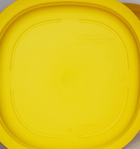 Birsppy ANGIEHAIE Microwave Luncheon Plates 9.5" Yellow