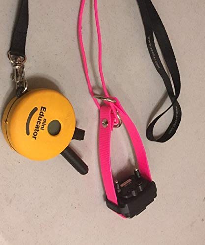 Sparky Pet Co - ECollar Replacement Strap - Bungee Dog Collar - Waterproof - Adjustable - Secure Nexus Wheel Lock - for Electronic Training & Invisible Fence Systems - 3/4" (Black)