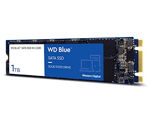 Western Digital 1TB WD Blue 3D NAND Internal PC SSD - SATA III 6 Gb/s, M.2 2280, Up to 560 MB/s - WDS100T2B0B