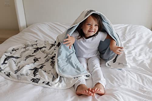 Pobi Baby Premium Baby Blanket, Soft Stretchy Quilt for Babies, Toddlers, Kids (Seaside)