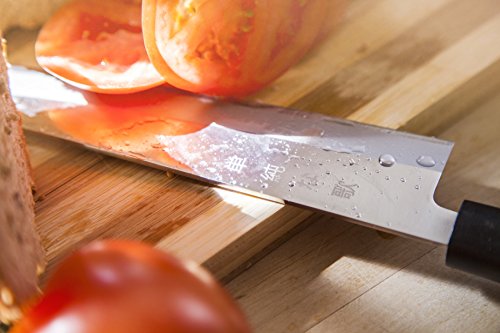 Traditional Japanese Professional Gyuto Kitchen Chefs Knife β Premium 8-inch High Carbon Stainless Steel Gyuto Sushi Knife with High Corrosion Resistance in a Single Bevel Chisel Edge Grind