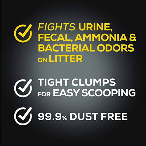 Purina Tidy Cats Multi Cat, Low Dust, Clumping Cat Litter, LightWeight 4-in-1 Strength - 17 Lb. Box