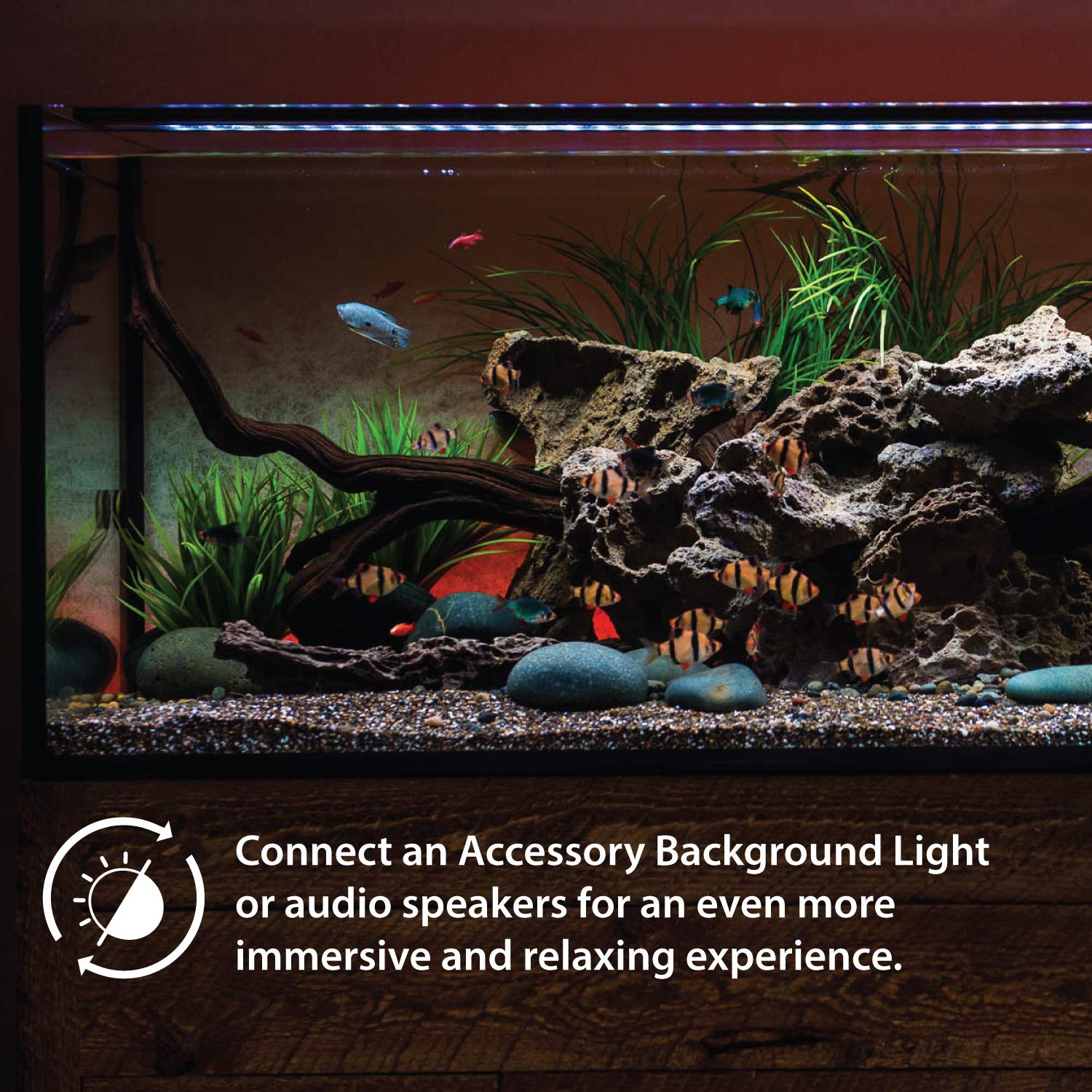 Current USA 36-48" Inch Satellite Freshwater LED Plus Full Spectrum RGB+W Light for Aquariums | Wireless 24 Hour Remote Control Fish Tank Lighting (4507)