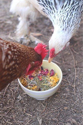 Pampered Chicken Mama Backyard Chicken Nesting Herbs for Great Eggs 10 oz - All-Natural Backyard Chicken Feed Supplies - Hen Treats for The Best Eggs Ever - High Calcium Supplement for Chickens