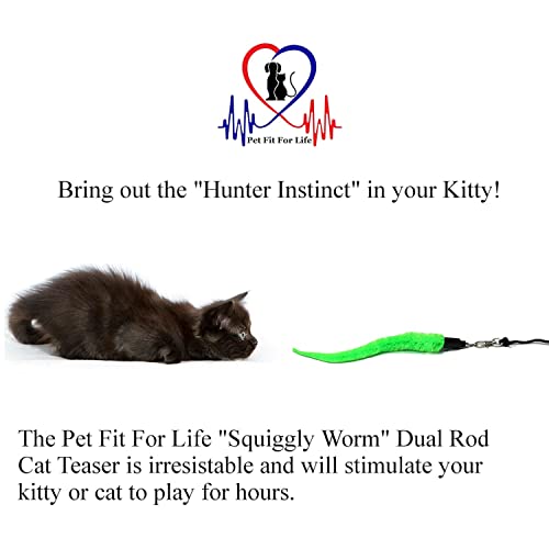 Pet Fit For Life Cat Wand Toy: 5-Piece Worm Teaser & Exerciser - Durable Flirt Pole/Cat Teaser Toy β Interactive Fun for Feline Fitness