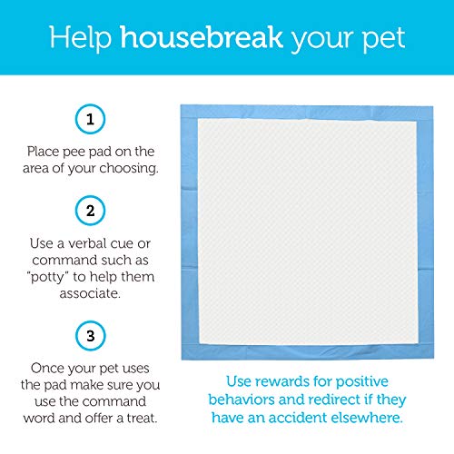 Puppy Pads Dog Pee Pad for Potty Training Dogs & Cats 22 x 22"- 100-Count Large