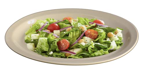 Z-Moments Western Melamine Oval Plates Narrow Rim Platter, 9-1/2" X 6-3/4", White or Tan #510 (48, Tan)