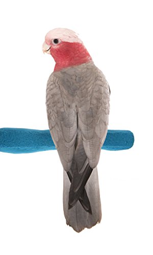 Sweet Feet and Beak Comfort Grip Safety Perch for Bird Cages - Patented Pumice Perch for Birds to Keep Nails and Beaks in Top Condition - Safe Easy to Install Bird Cage Accessories - M 8.5"