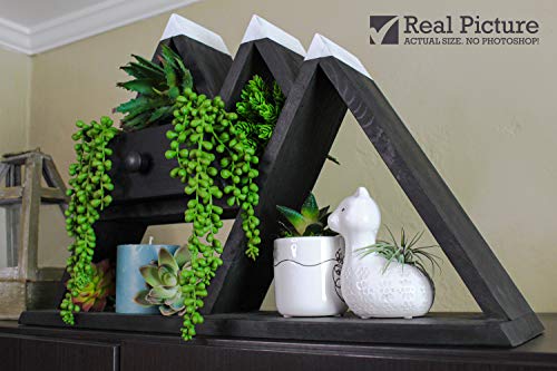 Rustic Curiosities Large Mountain Shelf - 20X12X4.5 Inch Crystal Display Shelf for Succulents, Plants, Essential Oils, Includes Pull Out Drawer, Extra Wide Base Crystal Holder (Black)