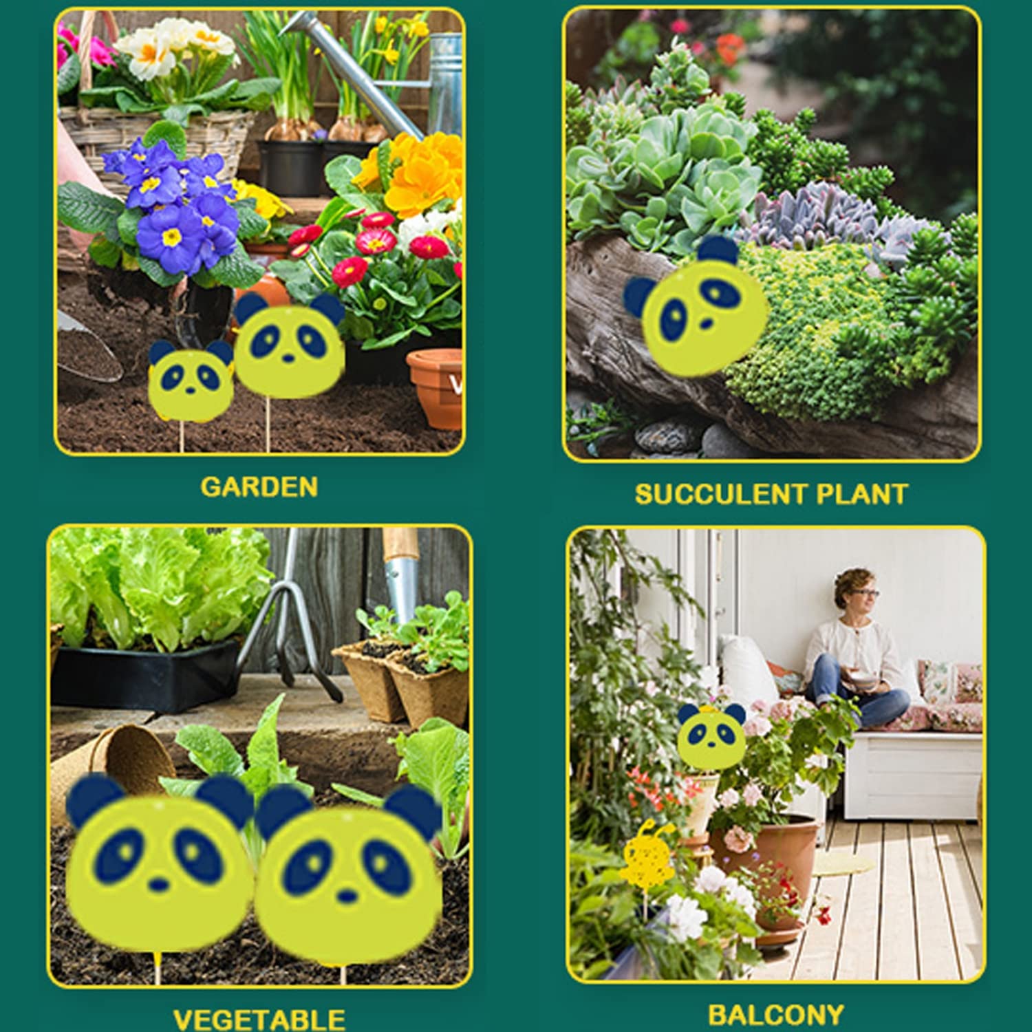 Springco Fruit Fly Traps 53 Pack Panda Gnat Sticky Traps for Indoor/Outdoor House Plants Fungus Traps Insect Catcher for Mosquitoes, Bug,Fungus Gnats,Pest Insect Catcher Killer (53pack(36panda+6+11))