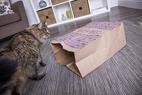 SmartyKat (2 Count Catnip Caves Catnip Infused Bag Cat Toys - Brown, 2 Count
