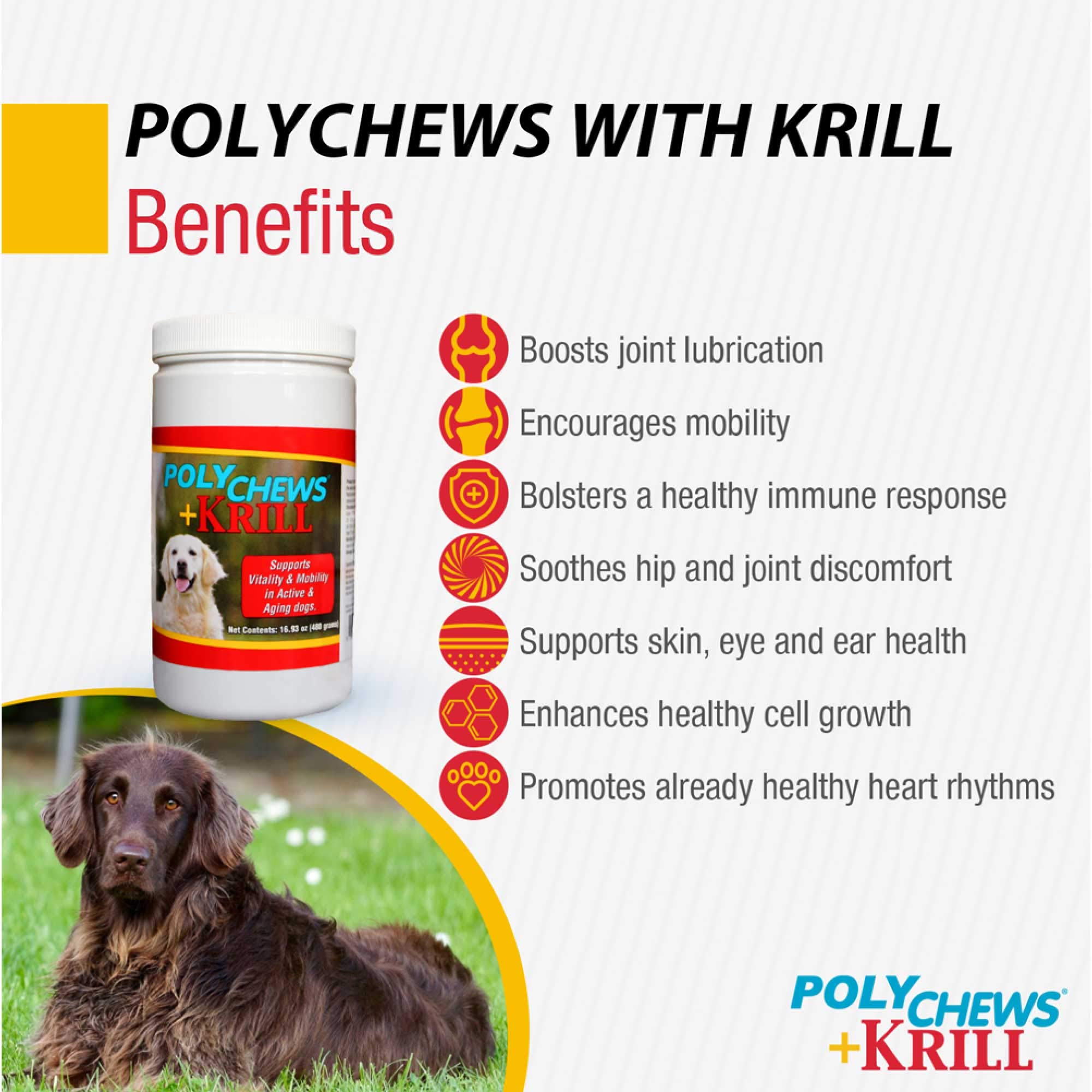Polychews Bimeda Advanced Formula with Krill and Beta Glucans, Soft Chews for Joint Support and Overall Health, 120ct