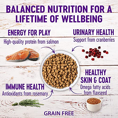Wellness Complete Health Grain-Free Indoor Healthy Weight Chicken Recipe Dry Cat Food, 5.5 Pound Bag