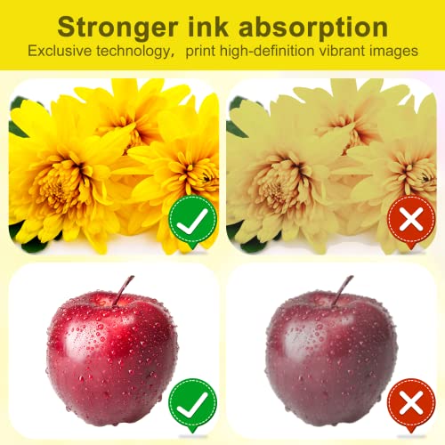 Yamation DTF Transfer Film Roll: 13inch 32.8ft Sheets Premium Double-Sided Matte Finish PET Transfer Paper Direct to Film Transfer Sheets