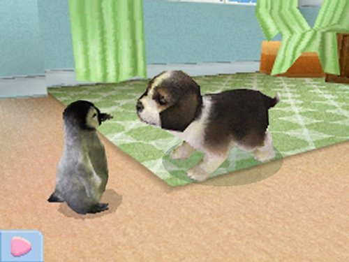 Petz Nursery 2 - Nintendo DS (Renewed)